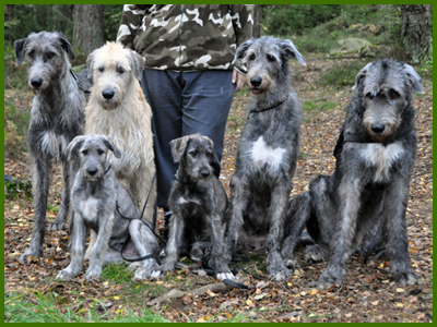 september | 2011 | varghund.com